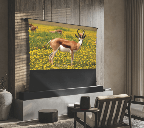 Projection Screen | Seemax